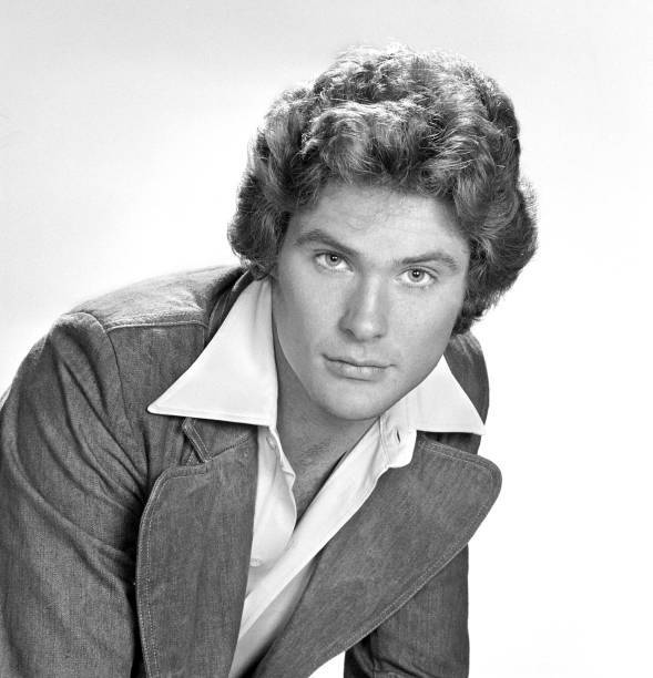 David Hasselhoff Young And The Restless David Hasselhoff