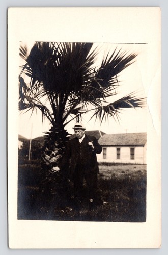 RPPC St Petersburg Florida Man Cigar Palm Tree Vintage AZO UNP Photo ...