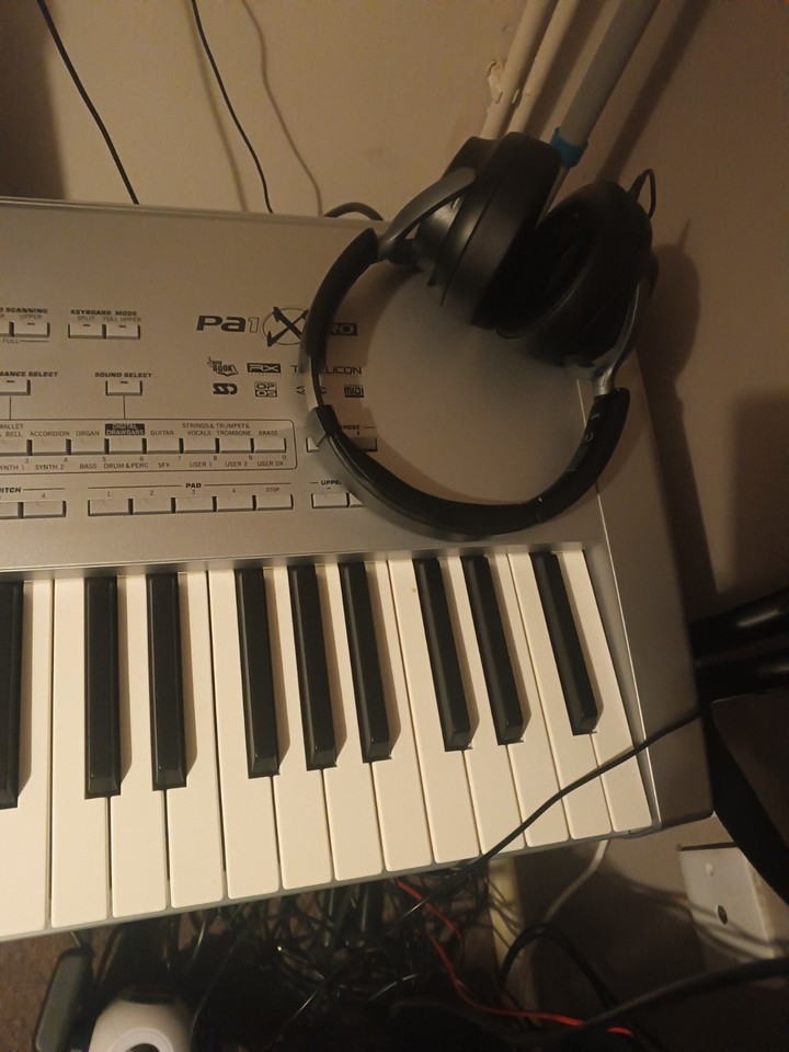 KORG Pa1 Xpro | eBay UK