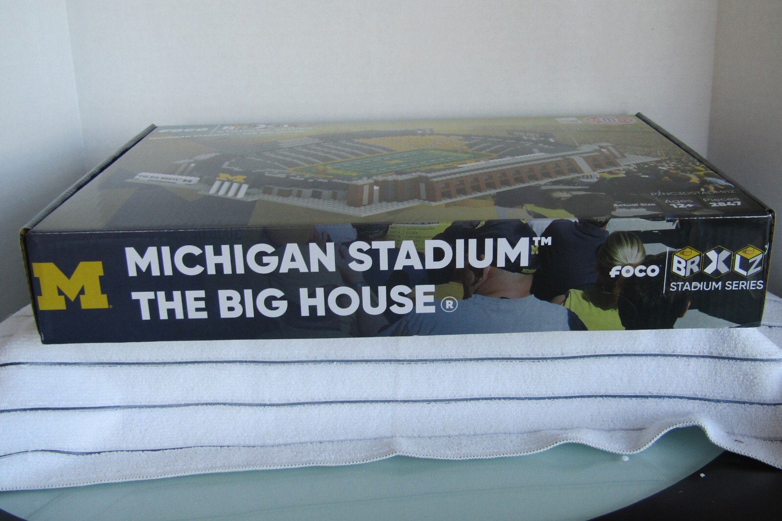 University of Michigan BRXLZ 3D Blocks Set Football Stadium - NEW | eBay