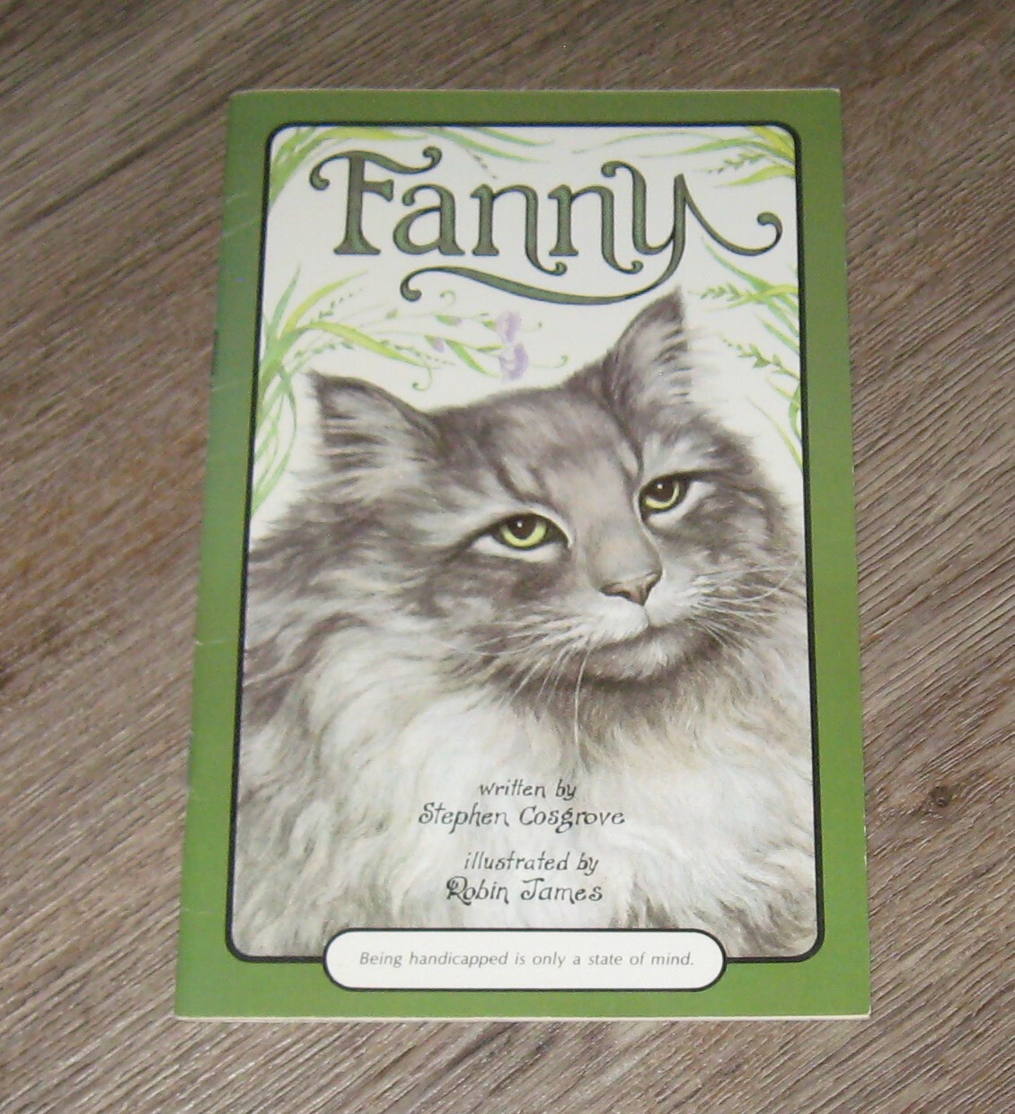 1986 Fanny pb BOOK Stephen Cosgrove illustrated CAT Robin James | eBay