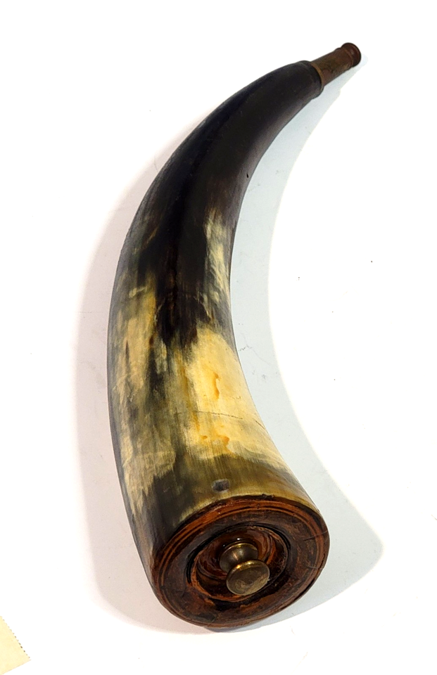 Bull Horn Powder Horn with Modern Brass Fittings 12” Long | eBay
