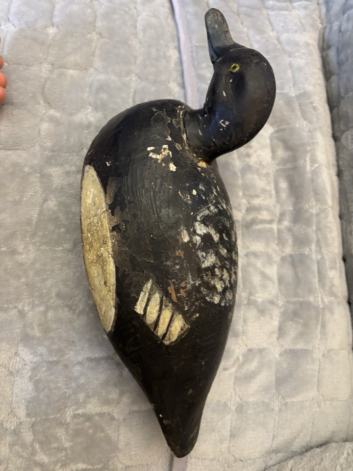 antique VTG hand carved wood bluebill duck decoy Solid Body Estate 15 ...