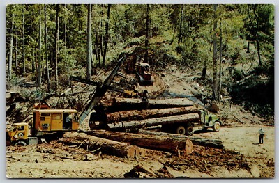 Postcard Loading Redwood Logs at Union Lumber Company, Fort Bragg CA ...