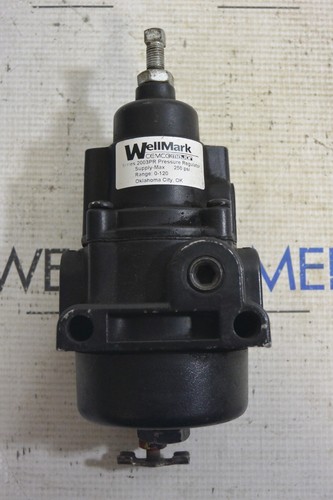 WellMark Series 2003PR Pressure Regulator 250 psi | eBay