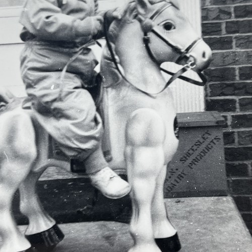Vintage Photo Sheesley Dariy Products & WONDER SHOO FLY Plastic - 1950s ...