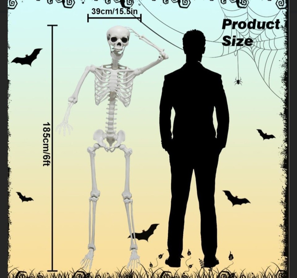 DINESIL 6Ft/185cm Halloween Skeleton, Life Size Skeleton Halloween ...