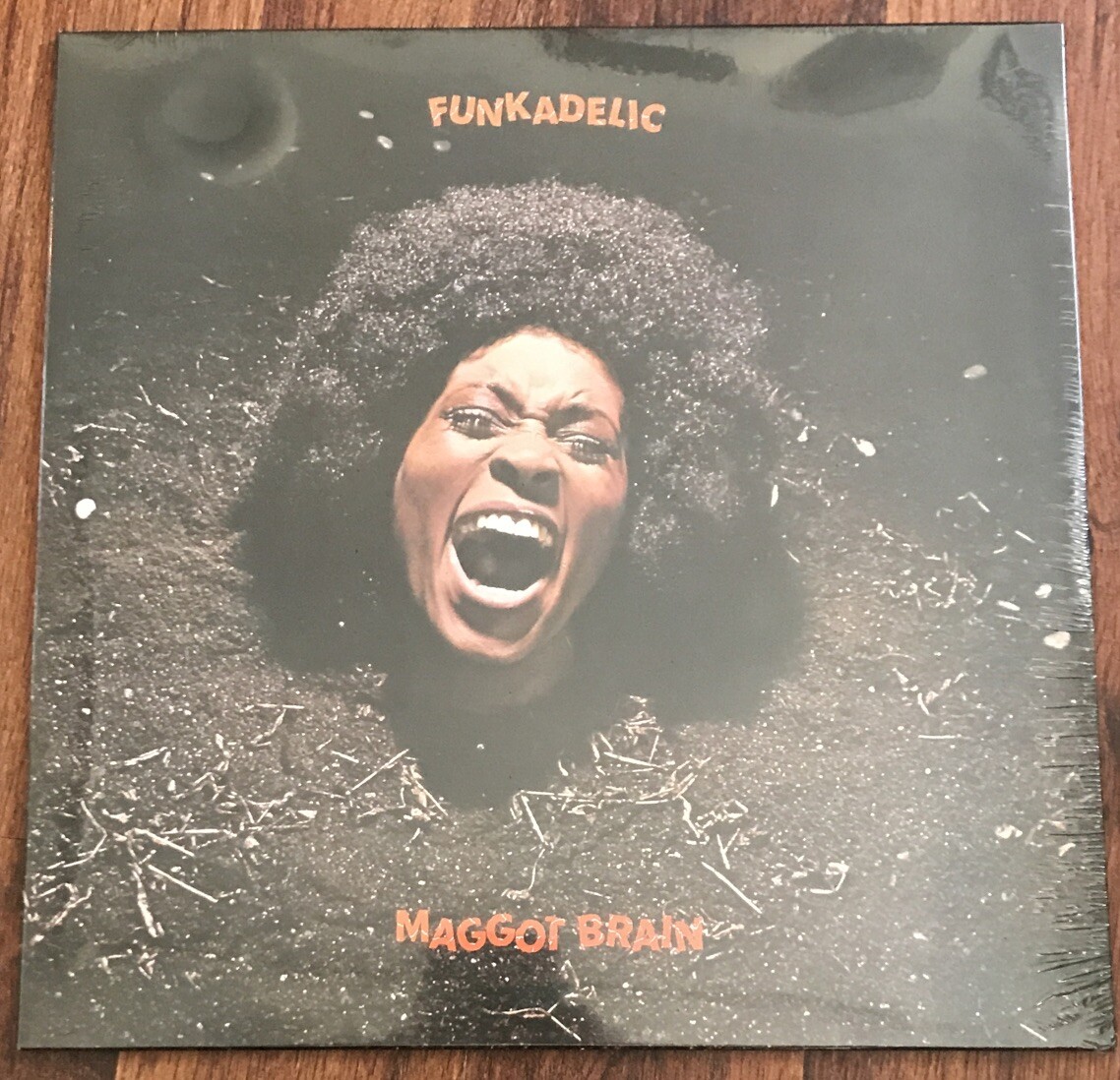 Funkadelic - Maggot Brain LP [Vinyl New] Sealed Black Record Album UK ...