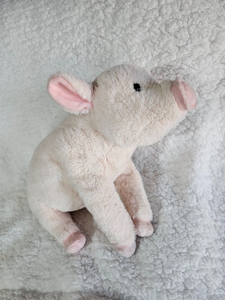 2023 The Petting Zoo Pig Plush Stuffed Toy Animal Pink 14" Bean Bag I'm ...