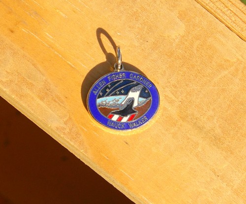 Allen Fisher Gardner Hauck Walker Metal Enamel NASA Astronaut 3/4 ...