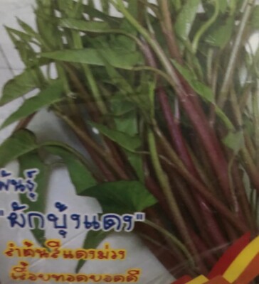 10g Red kangkong Thai, Water rau muong Dong Cong Tim Do No Delivery To ...