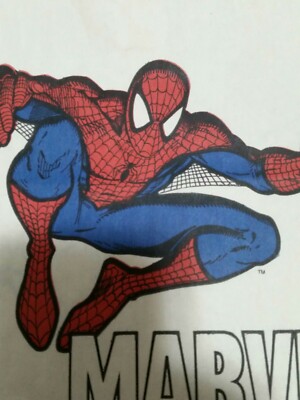 1990 Marvel Comics paper bag--Spider Man-color costume and black-Rare ...