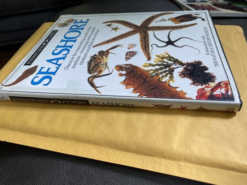 DK Eyewitness Seashore Hardcover homeschool reader theme the about ...