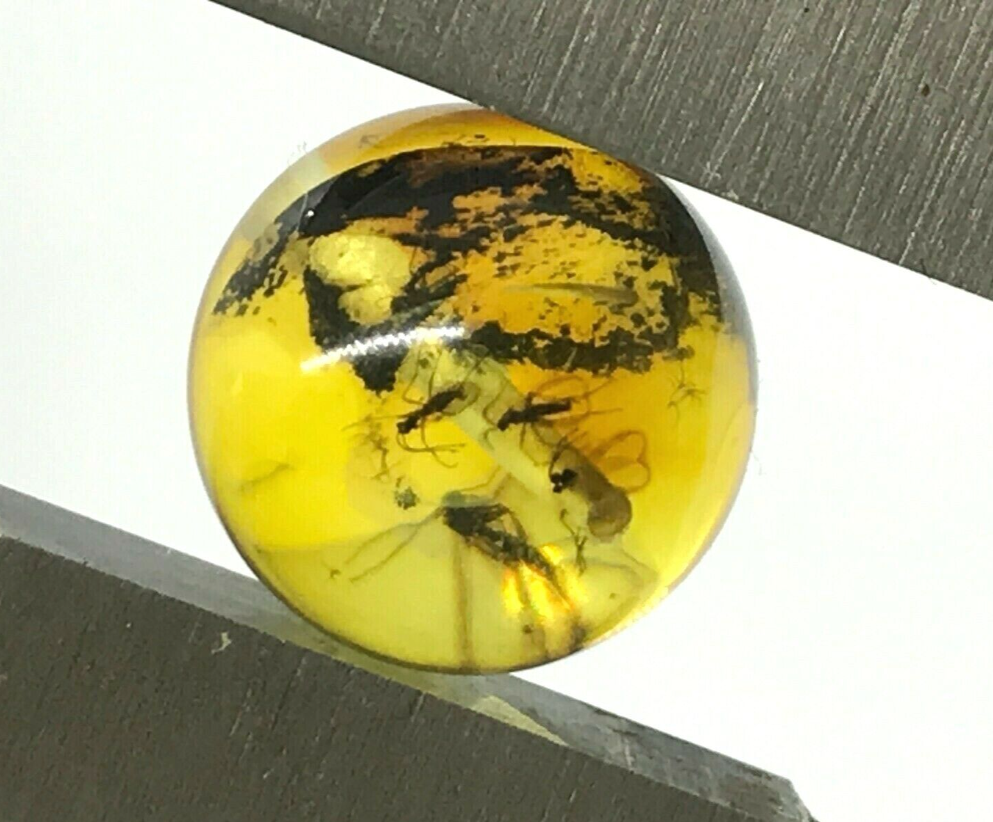 AMBER 3 Insects Round Bead DRILLED For Prayer Bracelet Necklace Baltic ...