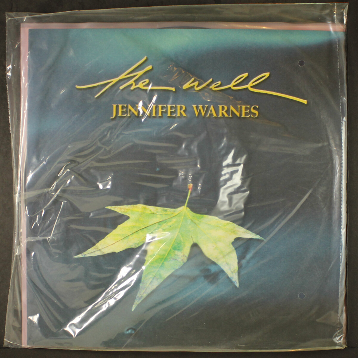 JENNIFER WARNES: the well IMPEX 12" Single 45 RPM Sealed | eBay