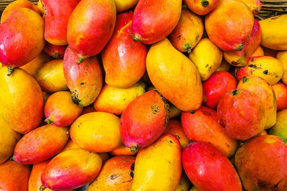 Exotic tropical fruit - AFRICAN MANGO - appetite control snack 3 ...