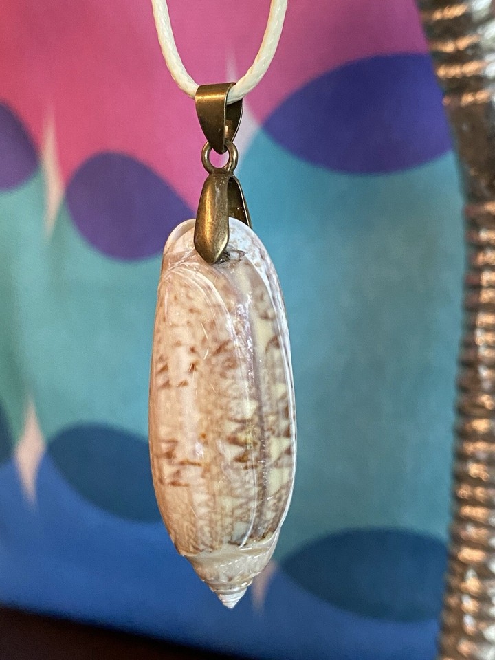 Seashell Natural Beach 22” Necklace Lettered Olive Shell Sea Shells ...