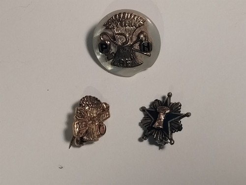 Vintage Pearl Sterling Silver & Gold Patrons of Husbandry Grange Pins ...