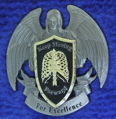 US Army Command Sergeant Major Angel Challenge Coin C-1 | eBay