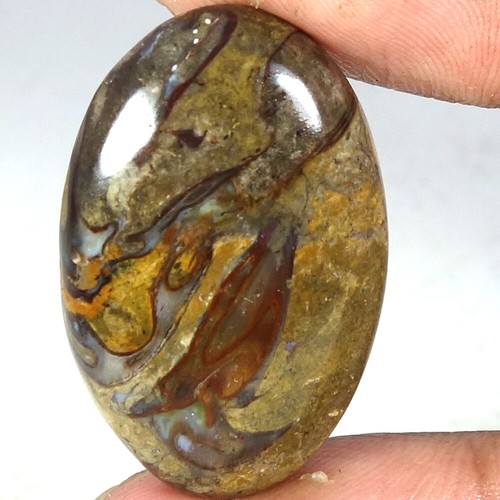 100% Natural Fossil Colus Oval Cabochon Loose Gemstones 32.80Cts 21x ...