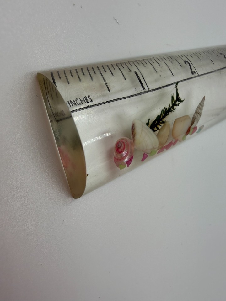 Vintage Lucite Ruler Paperweight Clear Sea Shell 6 Inch Desk Work ...