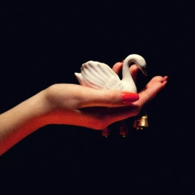 Pale Spring - Cygnus NEW Sealed Vinyl LP Album 618119854539| eBay