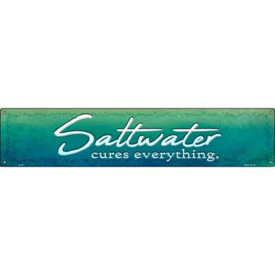 Saltwater Cures Everything Novelty Metal Street Sign ST-885 | eBay