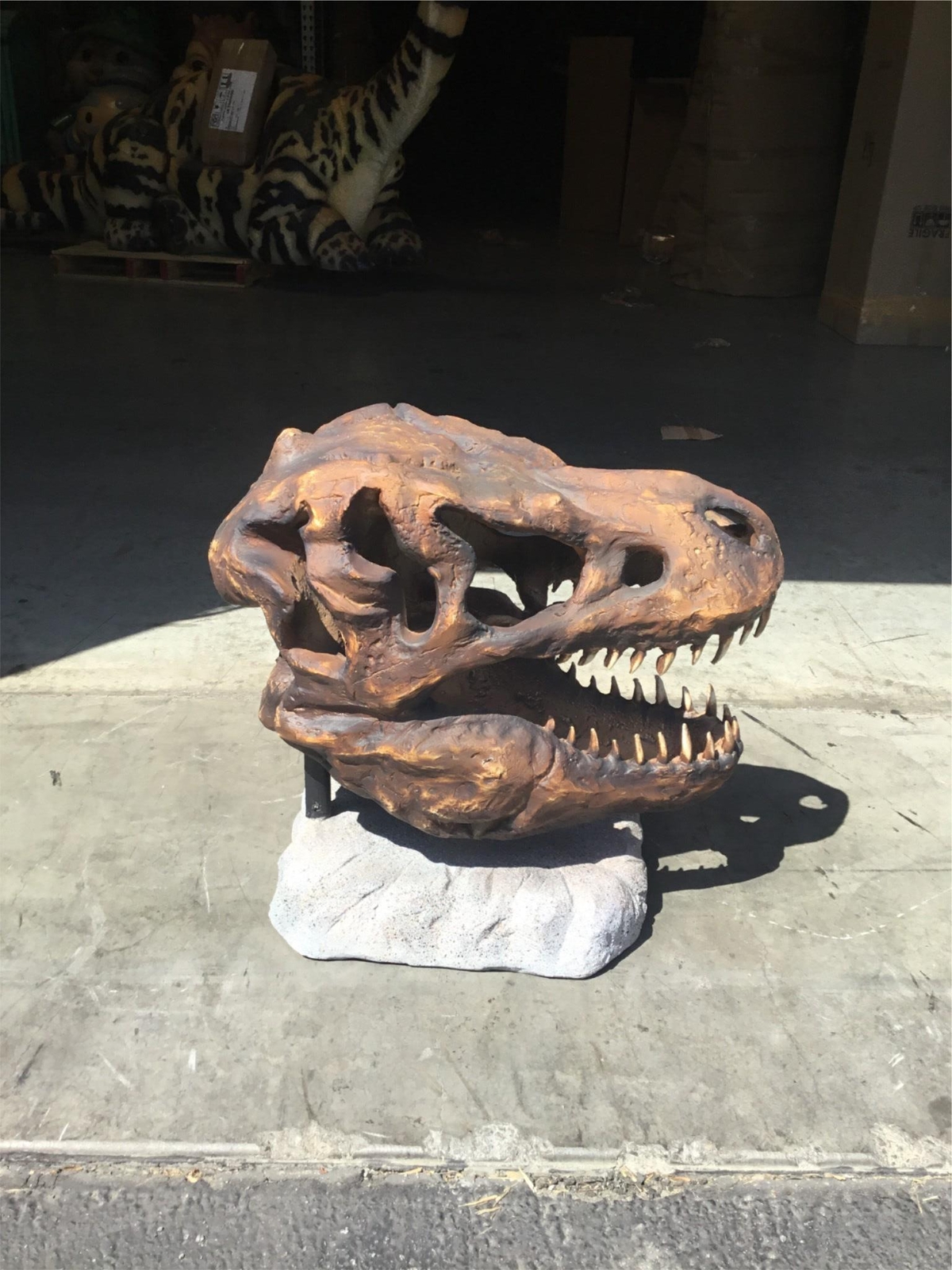 T-Rex Dinosaur Skull Head Life Size Resin Statue Prehistoric Jurassic ...