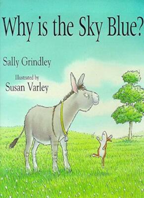 Why Is the Sky Blue? By Sally Grindley. 9780340698433 | eBay