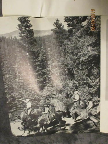 Vintage California Pines Unit One Planned Development Tract surveyor ...