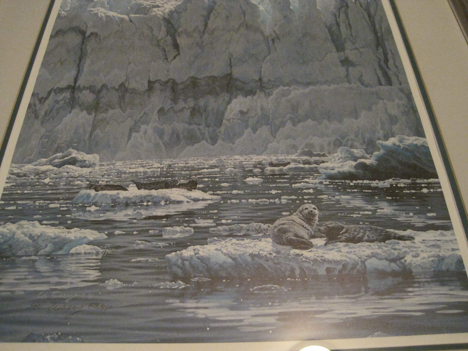 Ed Tussey, "Glacier and Harbor Seals" Signed LE 403/950 Art Print 23x37 ...