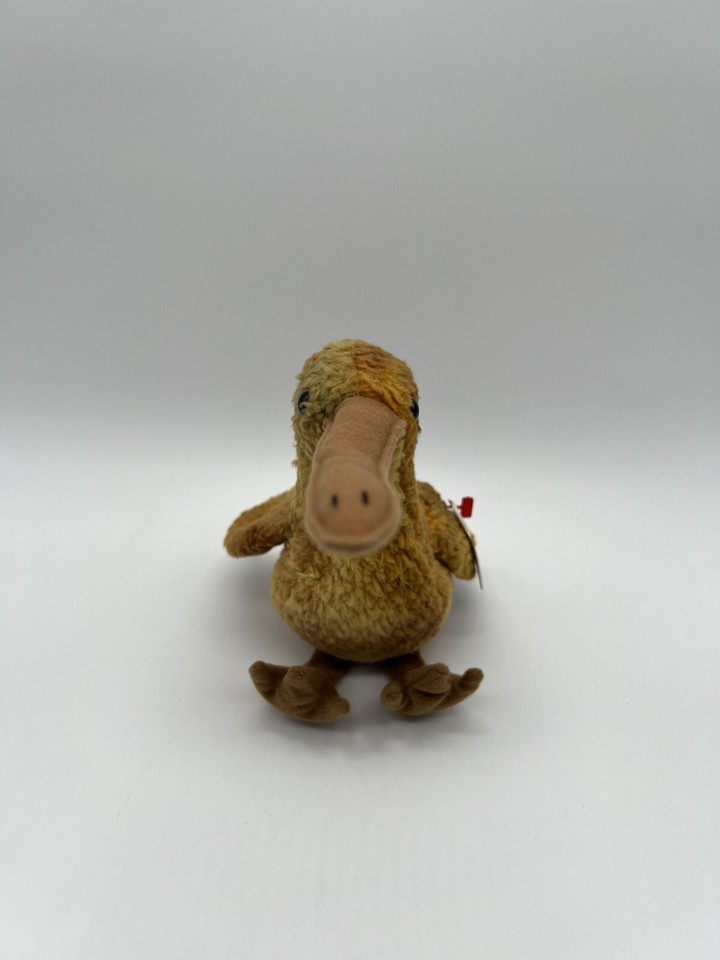 Ty Beanie Baby Beak the Kiwi Plush Bird Hang Tag Retired | eBay