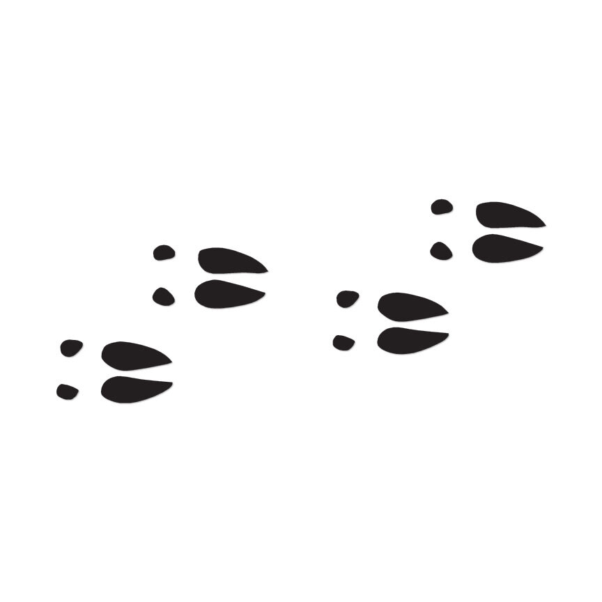 Buck Deer Tracks Hunting - Decal Sticker - Multiple Color & Sizes ...