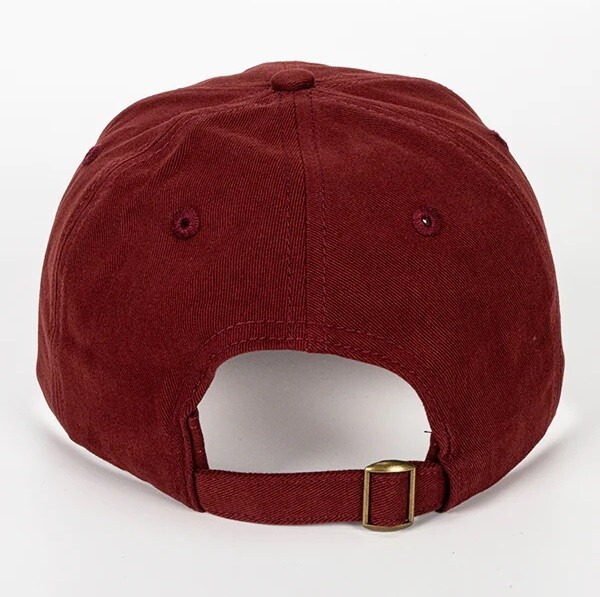 Starfield Constellation Crimson Fleet Skull Logo Cotton Twill Hat Cap ...