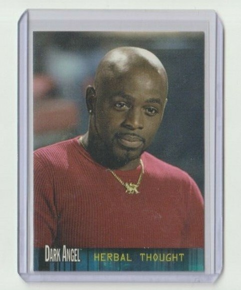 Dark Angel Alimi Ballard "Dark Angel" Haven (TV Episode 2001) Alimi