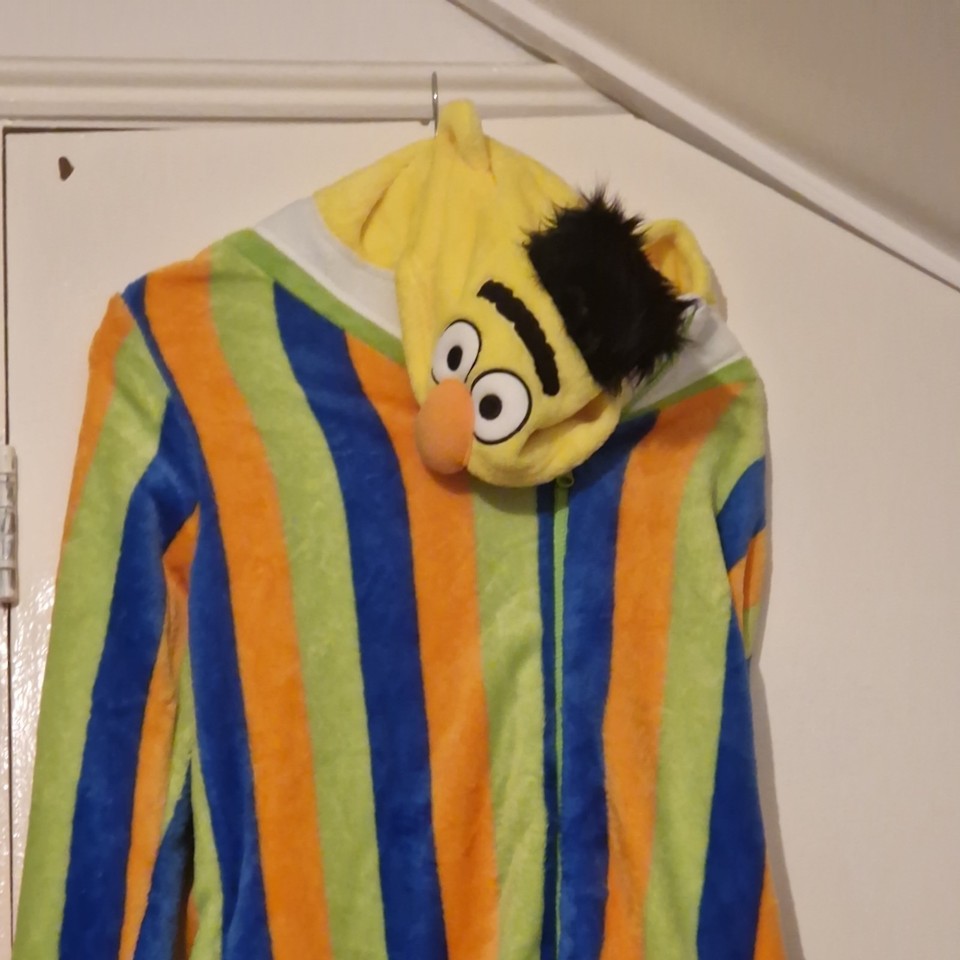 BNWT BERT (Bert & Ernie) Adult all in one Fancy Dress Costume - Paid £ ...