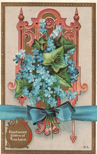 1911 Forget Me Not True Love Blue Ribbons Greetings & Wishes, Vintage ...