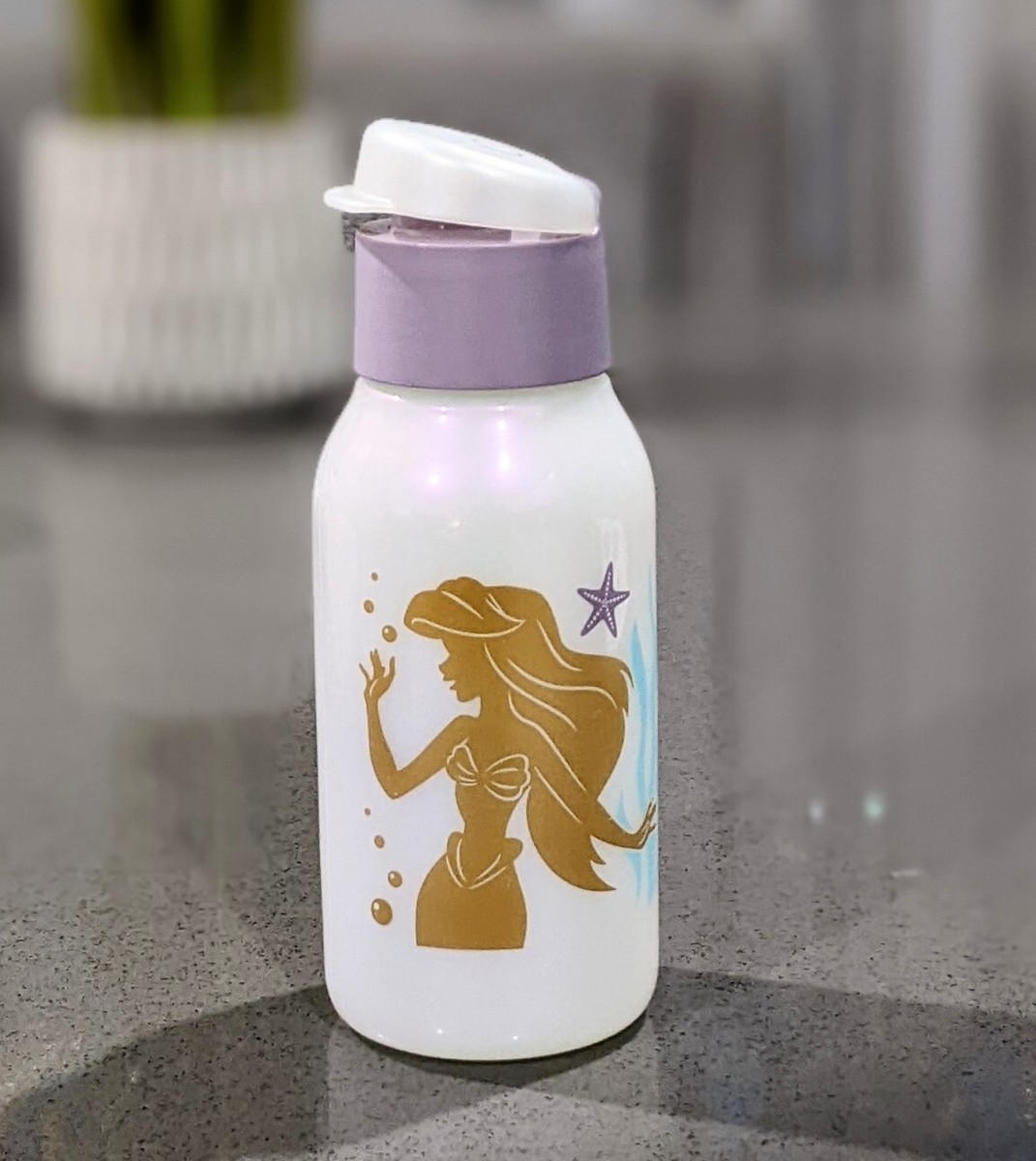 Ariel Water Bottle Template