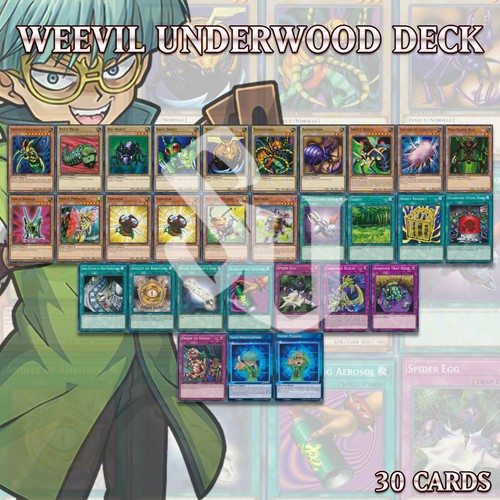 WEEVIL UNDERWOOD & REX RAPTOR STARTER DECK 60 CARDS | Worm Bait YuGiOh🔥 ...