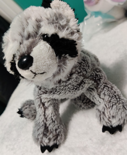 Ganz - Webkinz Gray Raccoon Plush - No Code | eBay