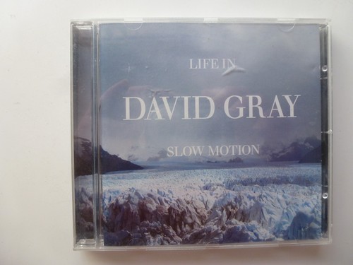 DAVID GRAY - LIFE IN SLOW MOTION NM CD 2005 EU | eBay Australia