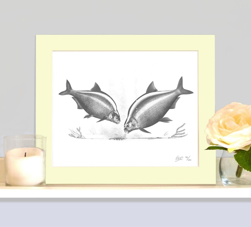 BREAM Fishing Fish Art Print Drawing Picture MOUNTED Present Gift For ...