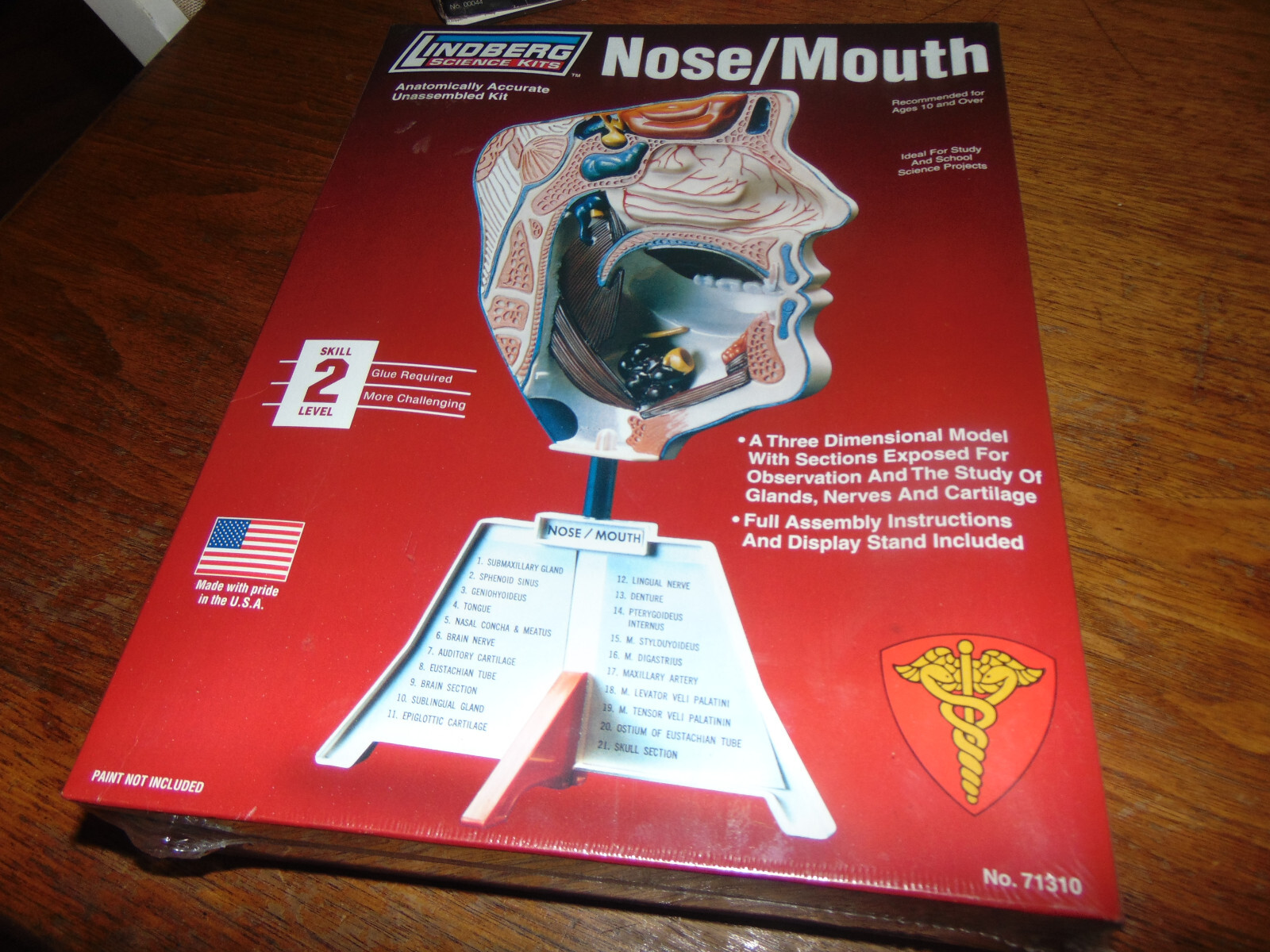 Lindberg Human Ear Nose & Mouth 3D Scale Model Kit 1982 +a bonus poster ...