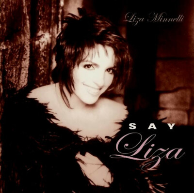 Liza Minnelli Say Liza Cd Don T Drop Bombs Love Pains Losing My Mind