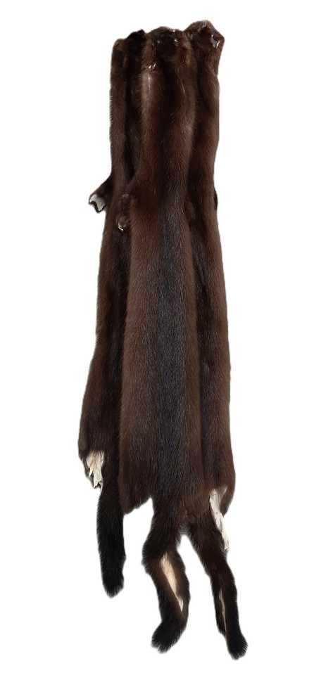 Female Wild Mink Pelt, Highly Desirable Fur & Best Tan in the Business ...