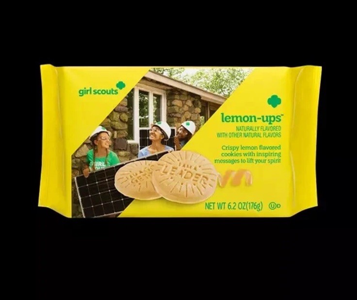 2025 Girl Scout Cookies Lemon Ups (1 Case/12 Packs) | eBay