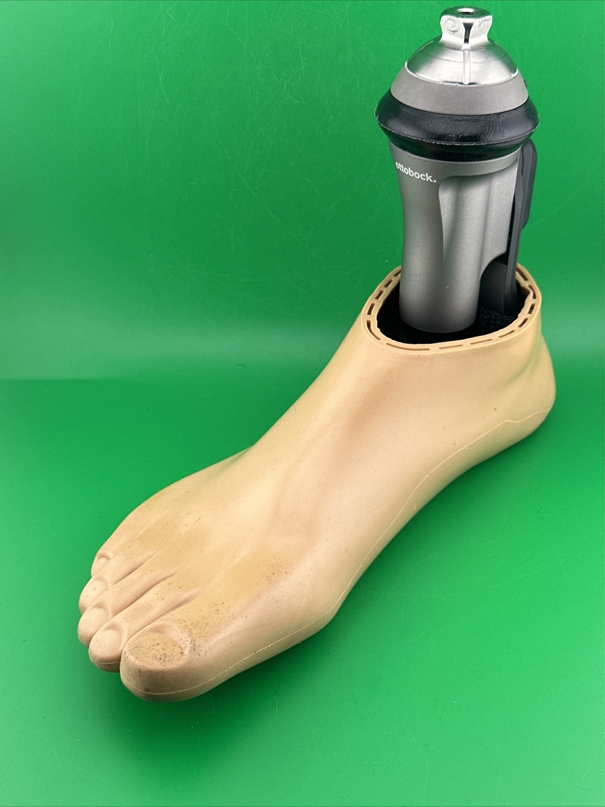 Ottobock Otto Bock Taleo Vertical Prosthetic Foot. 1C51 Prosthetic Foot ...
