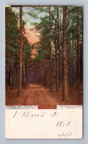 Cathedral Drive LAKEWOOD New Jersey Antique Pine Barrens Postcard UDB 1905 | eBay