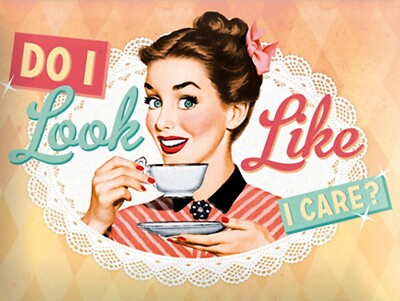 Do I Look Like I Care, Retro Metal Plaque/Sign, Kitchen Gift | eBay UK