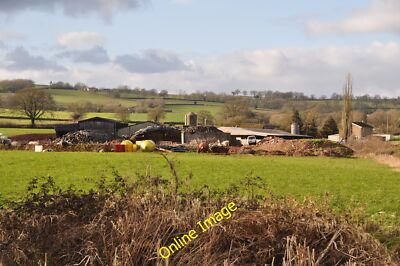 Photo 12x8 Mid Devon : Westcott Farm Ayshford Looking across to ...